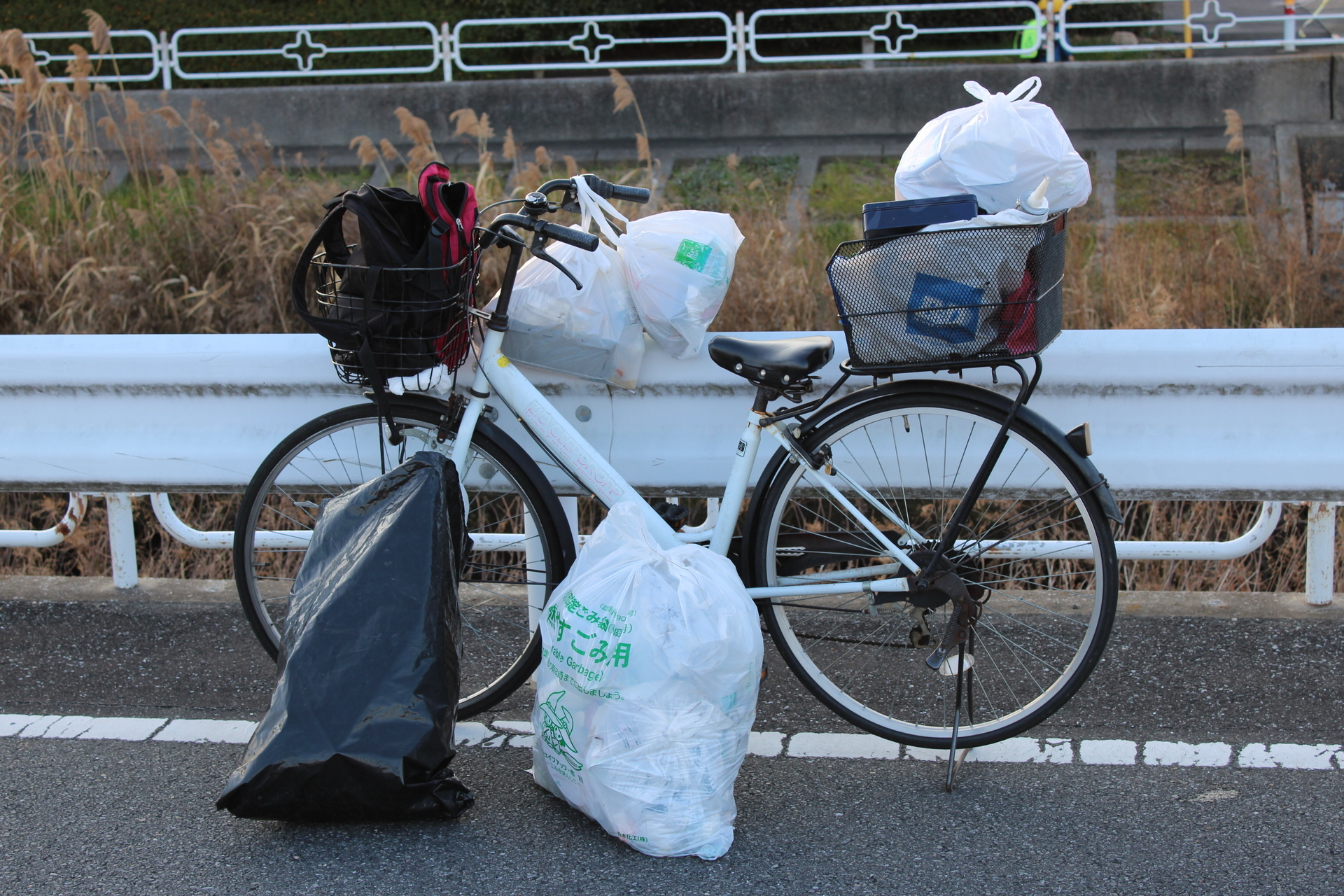 国分川鯉のぼりフェスティバル2025に向けてクリーン作戦: プリティ長嶋のダイアリー